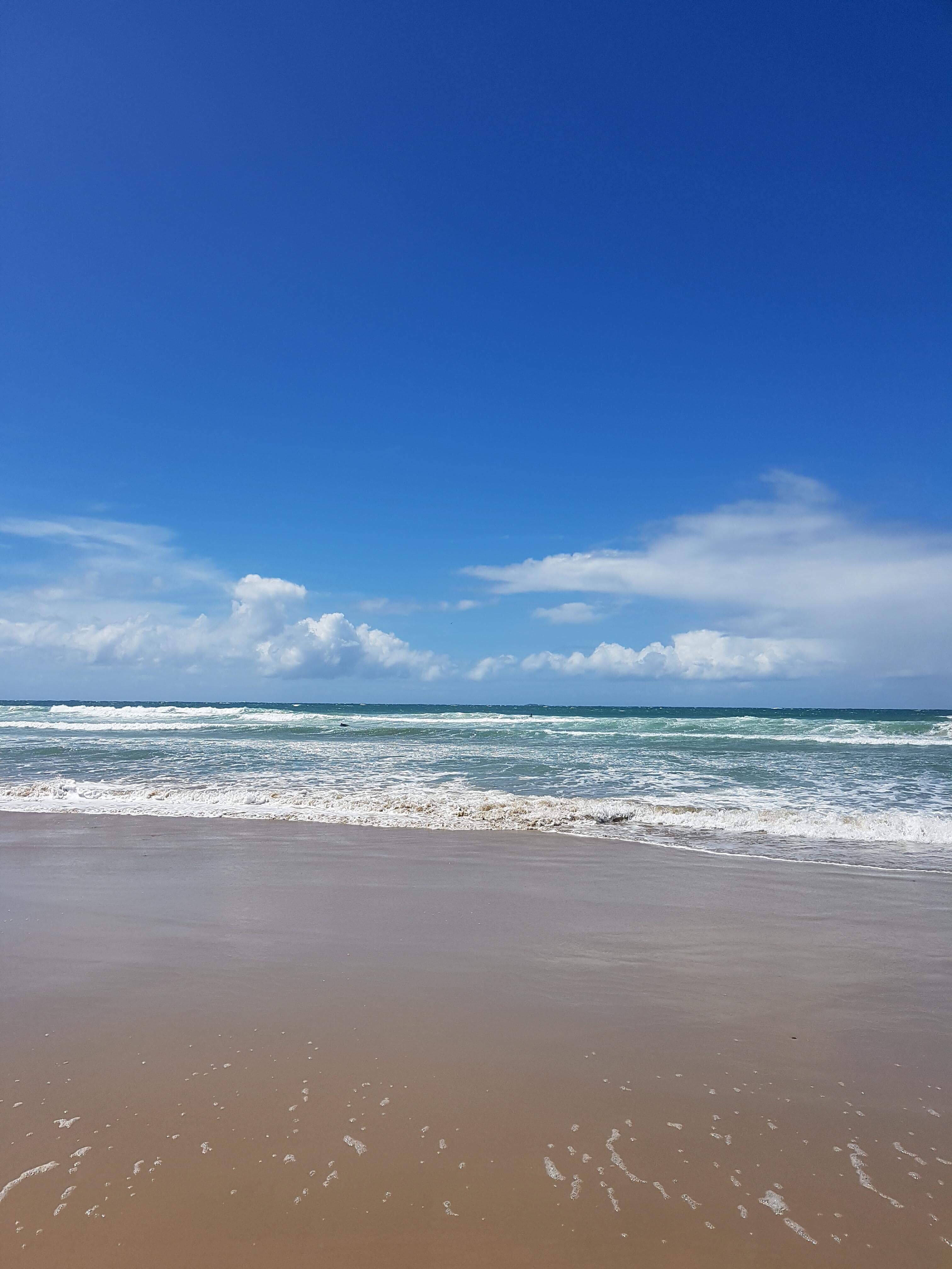 Home Page | Dan Schreiber